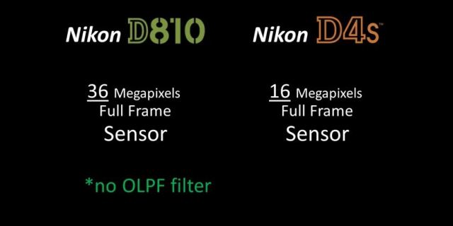 Nikon D4 / Nikon D4s | NIKON-TUTORIALS