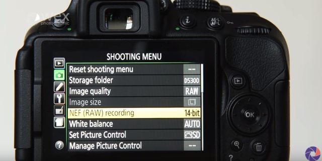 Bit Depth | NIKON-TUTORIALS