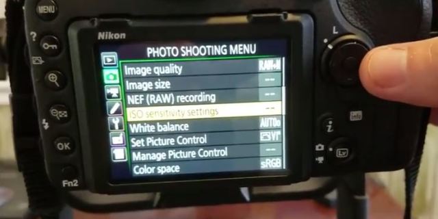 Nikon D500 | NIKON-TUTORIALS | Page 2