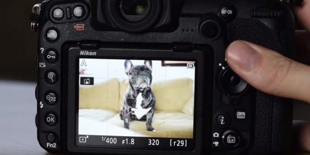 Nikon D500 | NIKON-TUTORIALS