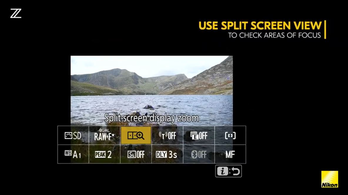 Nikon Z tips: Split Screen View