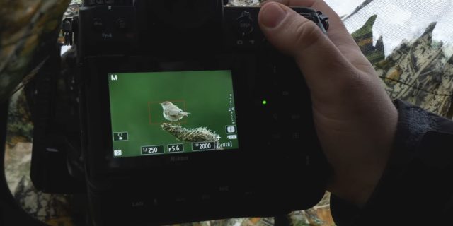 NIKON-TUTORIALS | Watch and learn, find tutorial and advice video for ...