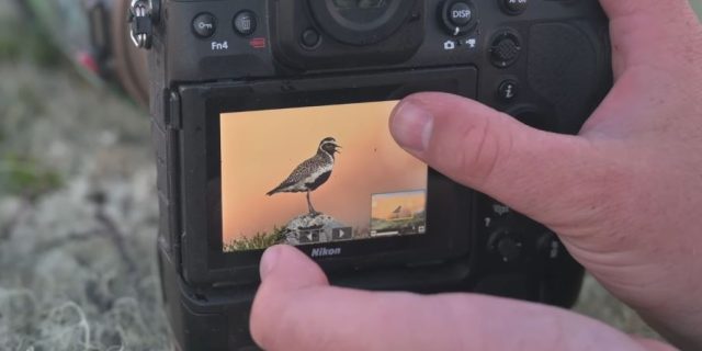 NIKON-TUTORIALS | Watch and learn, find tutorial and advice video for ...