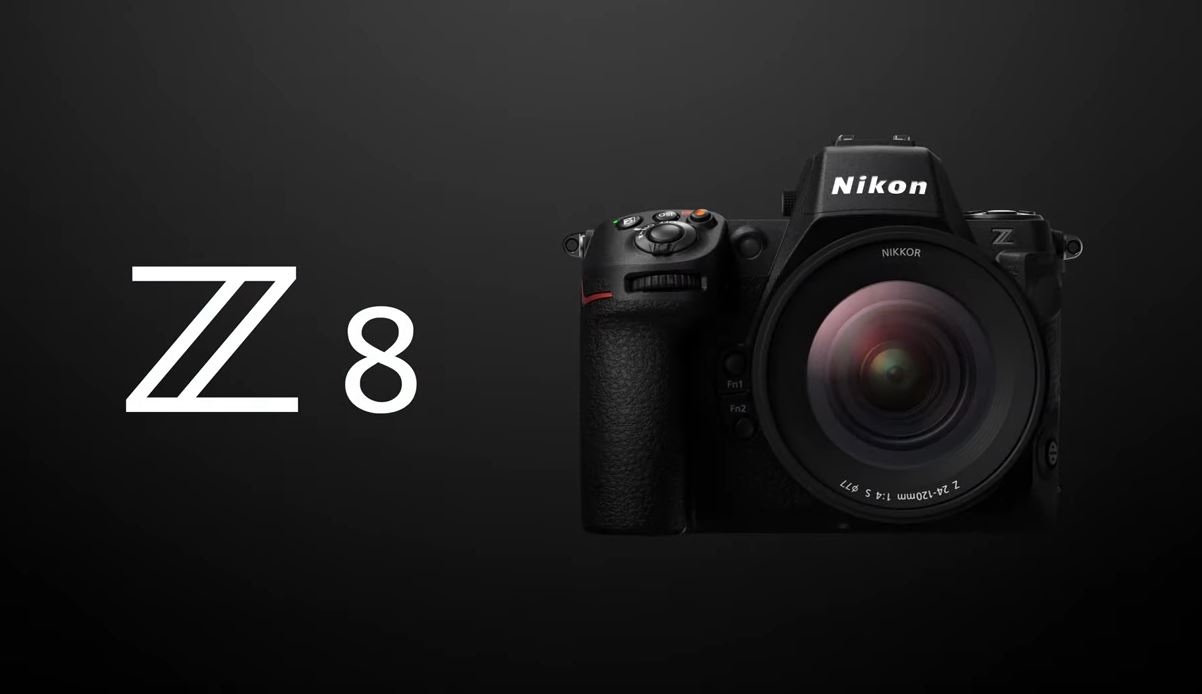 Nikon Z8 Review & Sample Images
