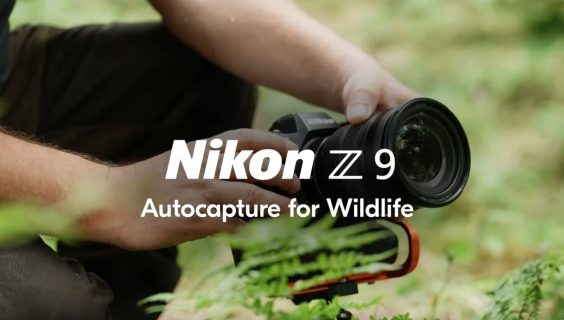 Nikon Z 9