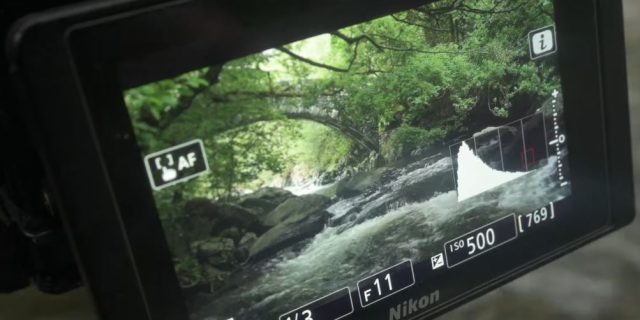 NIKON-TUTORIALS | Watch and learn, find tutorial and advice video for ...