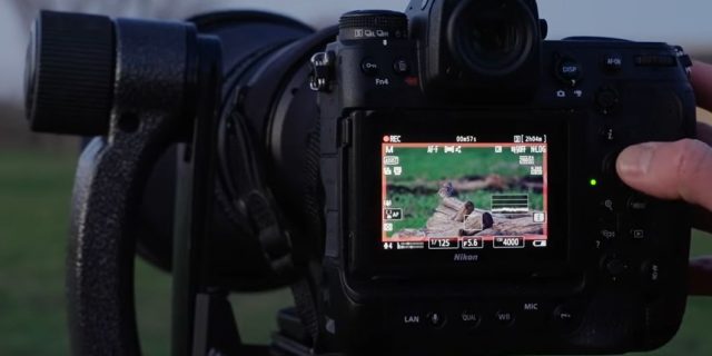 NIKON-TUTORIALS | Watch and learn, find tutorial and advice video for ...