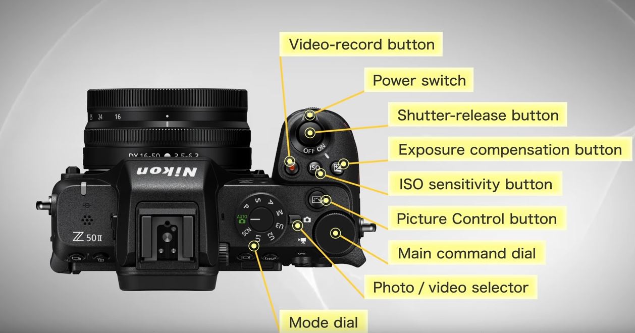 Nikon tutorials: watch and learn, find tutorial and advice video for ...